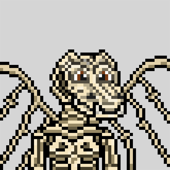 Dizzy Dragons | Web3 NFT Collection